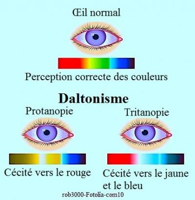 Accueil
